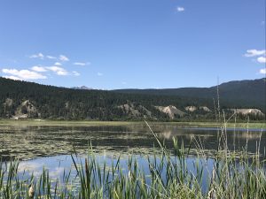 Dry Gulch Recreation Strategy - govTogetherBC