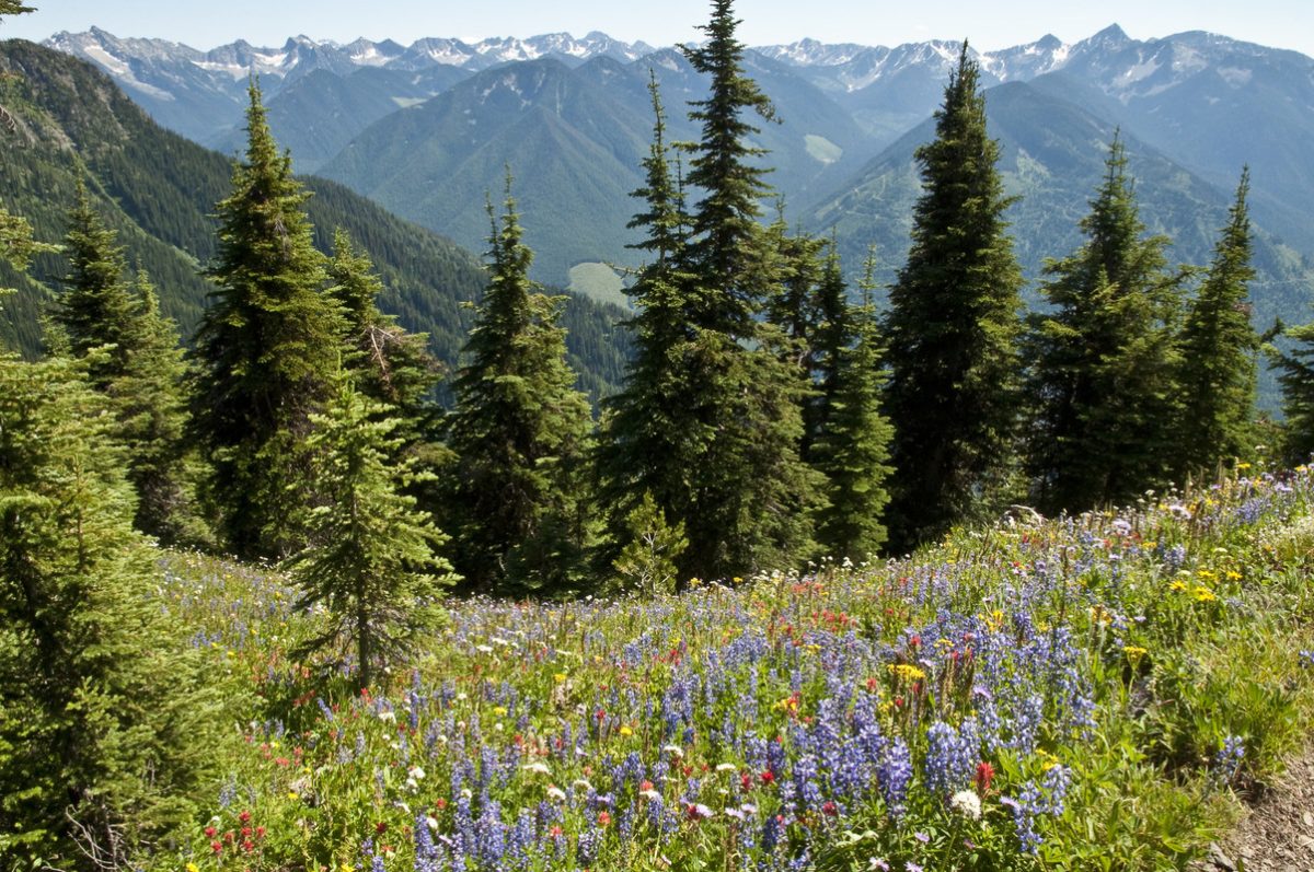 Land Act Amendments - govTogetherBC