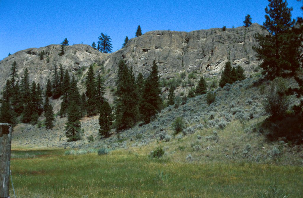 5 Unique Things About BC Parks – BC Parks Blog