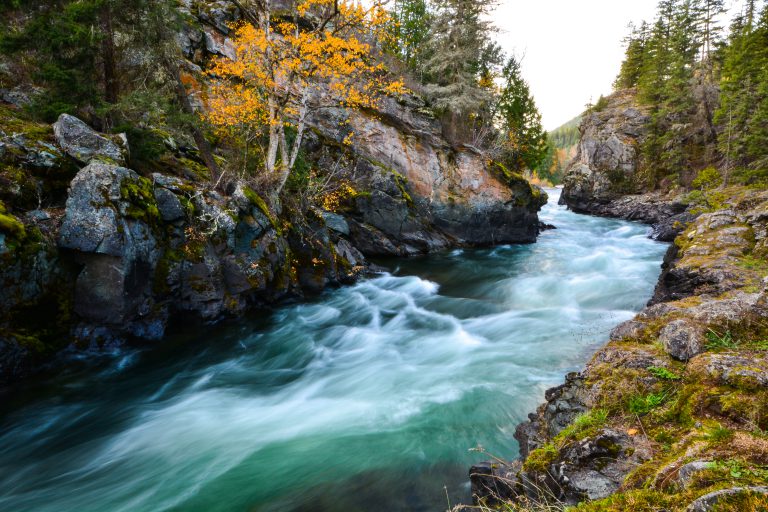 Five Reasons to Celebrate BC Parks! – BC Parks Blog