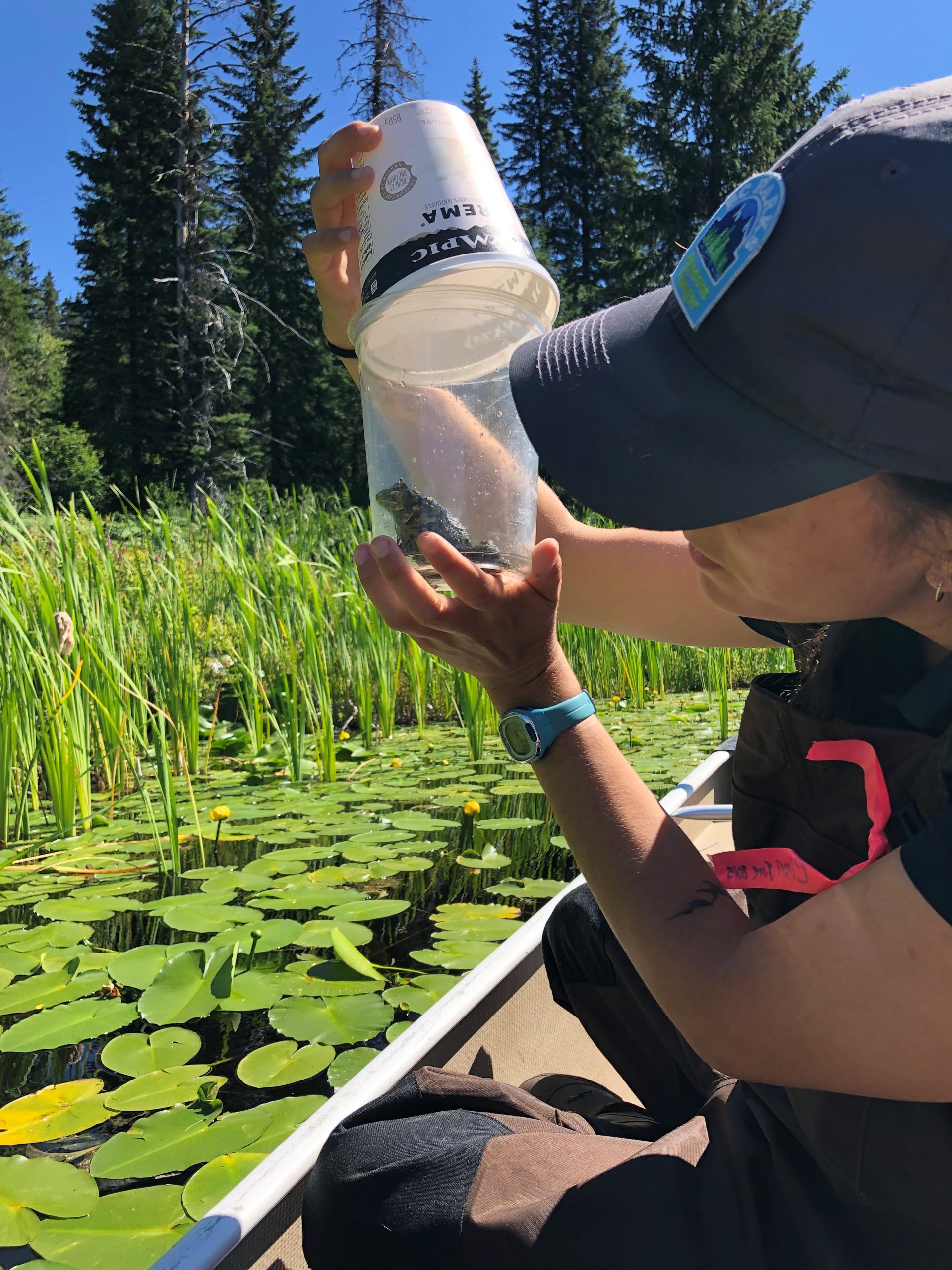 Top 3 Reasons to Become a Student Ranger – BC Parks Blog