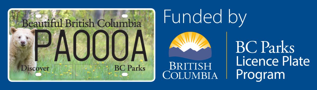 Bank swallow habitat being protected in Windermere Lake Park – BC Parks ...
