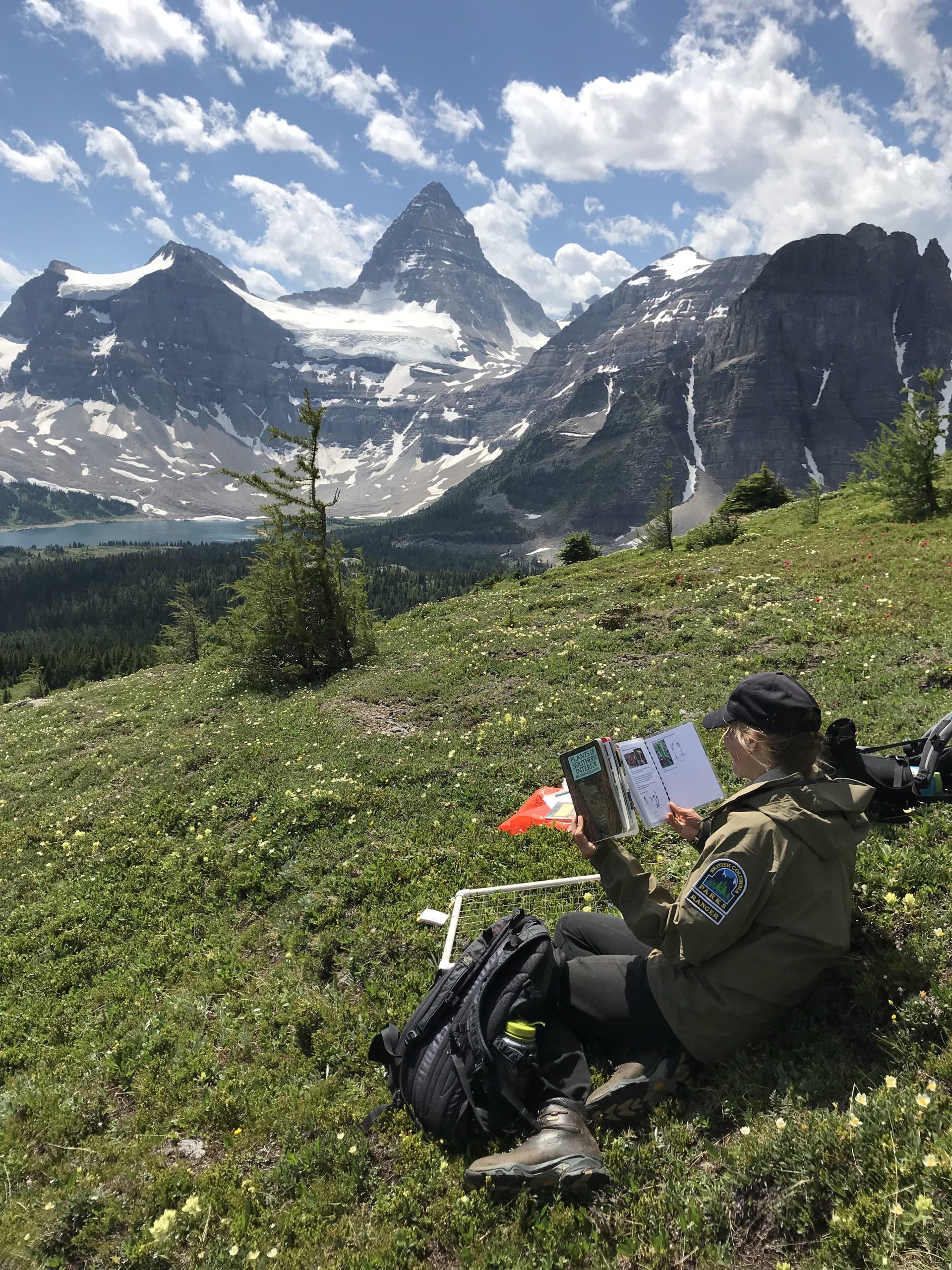 Do you want to become a BC Parks ranger? – BC Parks Blog