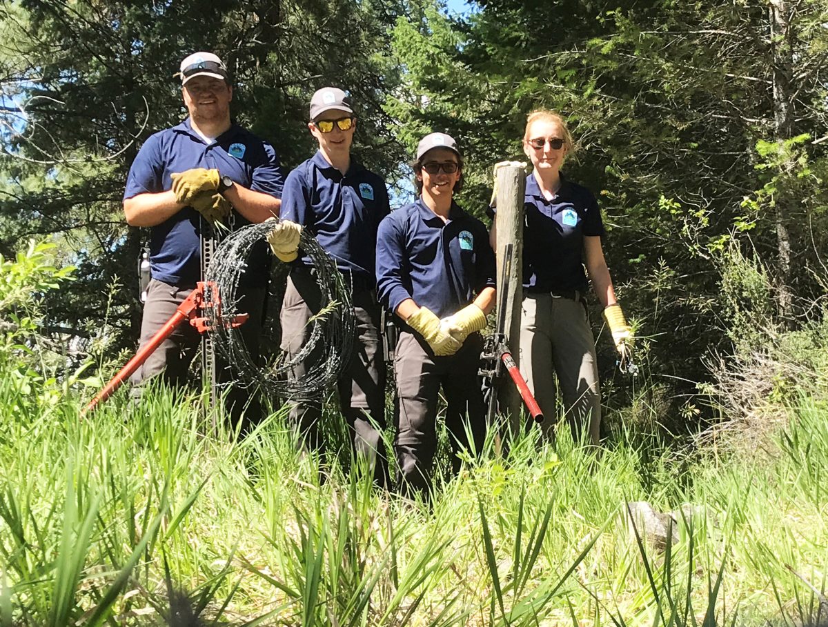 Part 3: Student Ranger to Ranger – BC Parks Blog