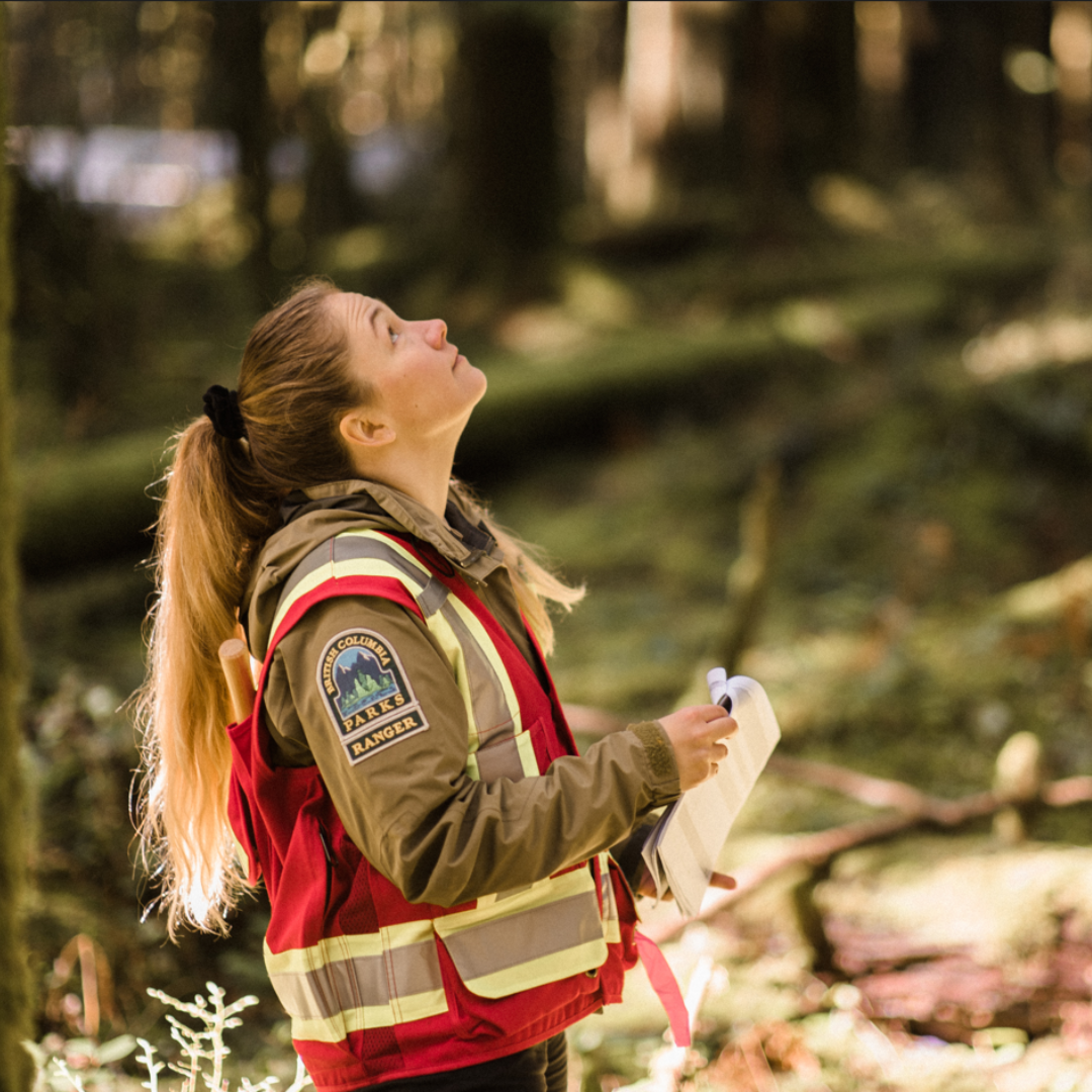 World Ranger Day – interviews with six BC Parks rangers – BC Parks Blog