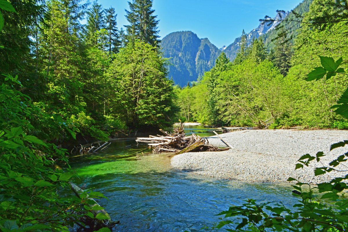 When do I need a day-use pass at Golden Ears this summer? – BC Parks Blog