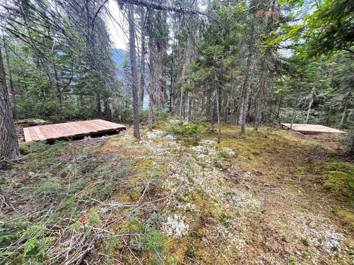 Rebuilding the Berg Lake Trail – 2024 update – BC Parks Blog