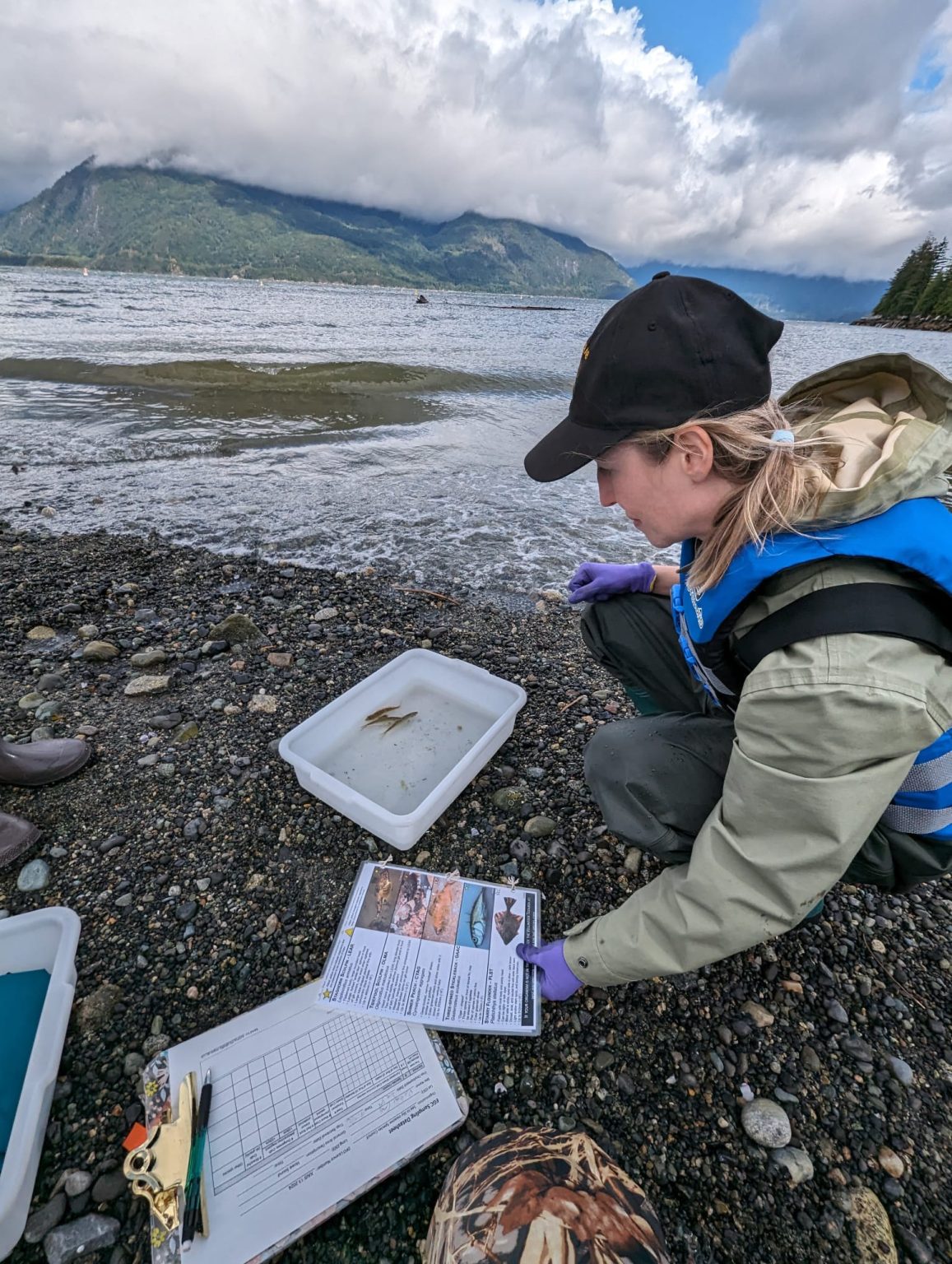 BC Parks Blog – Government of British Columbia